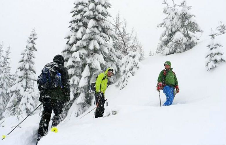 Part of the backcountry ski boom? Here’s who might rescue you | The ...