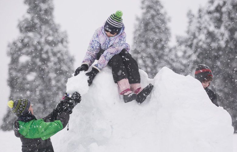 Snow cancels, delays scores of Monday flights in and out of Seattle ...