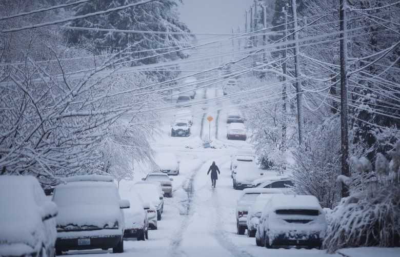 Scenes from the snowfall around the Puget Sound area | The Seattle Times