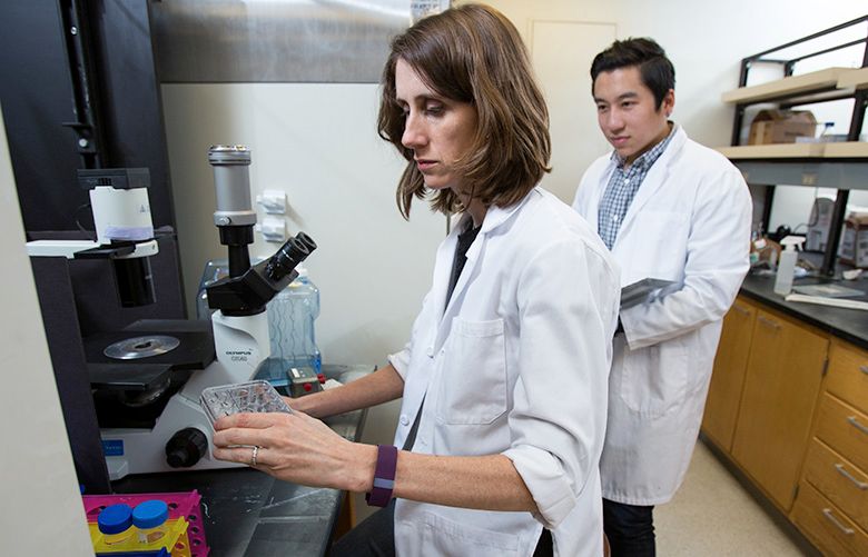 Tech Spotlight: Seattle biotech startup Silene draws blood to help ...