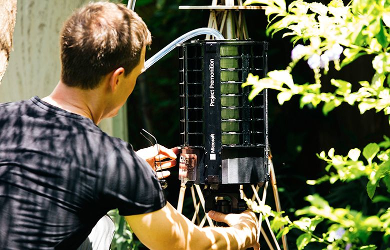 Microsoft helps build a mosquito trap with brains | The Seattle Times