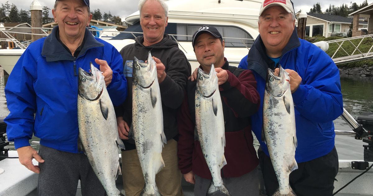 Boat ramp checks show best winter chinook catches in eastern and ...