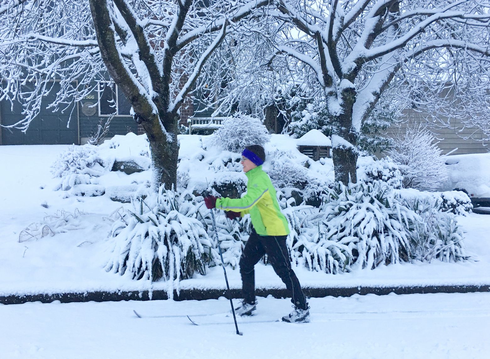 skiing | The Seattle Times