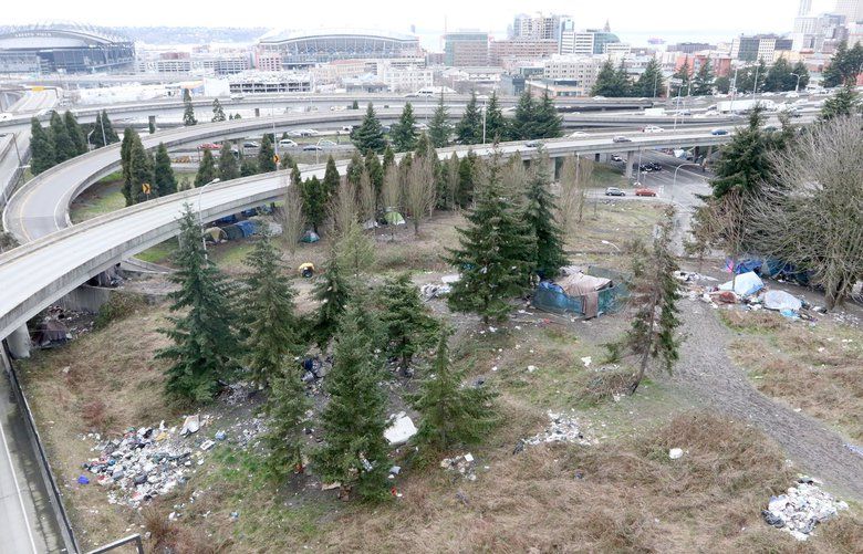 Who are Seattle’s homeless? Many are from here, ex-foster kids ...