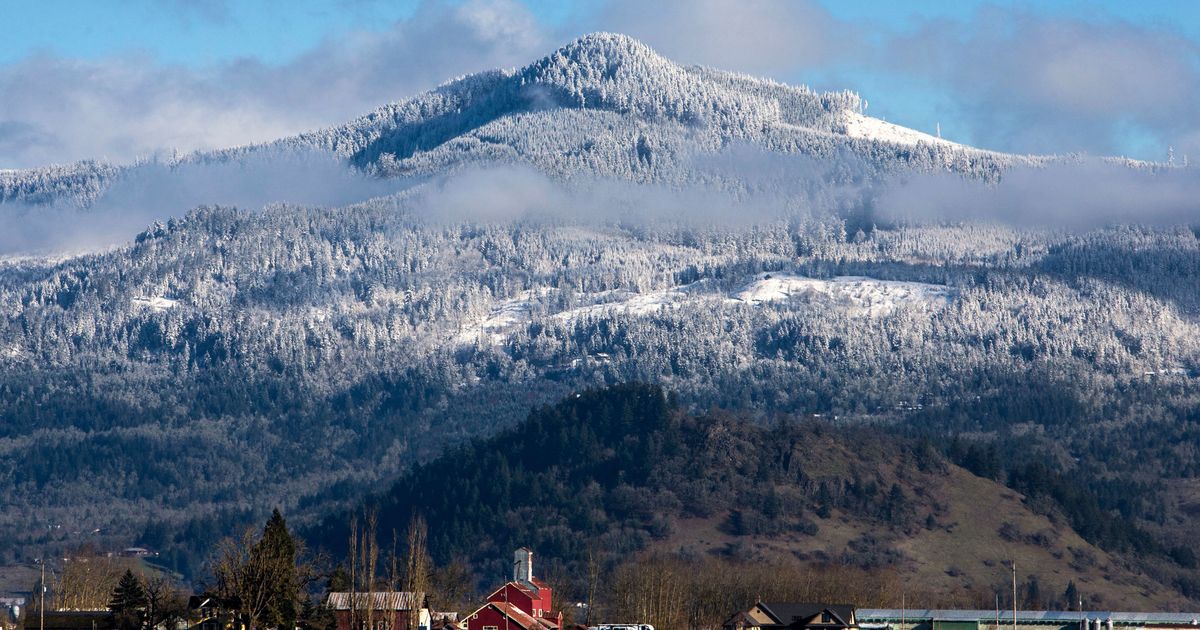 After hard winter, Oregon snowpack rebounds | The Seattle Times After hard winter, Oregon snowpack rebounds | The Seattle Times