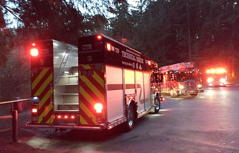 Teen killed by falling tree in Edmonds | The Seattle Times