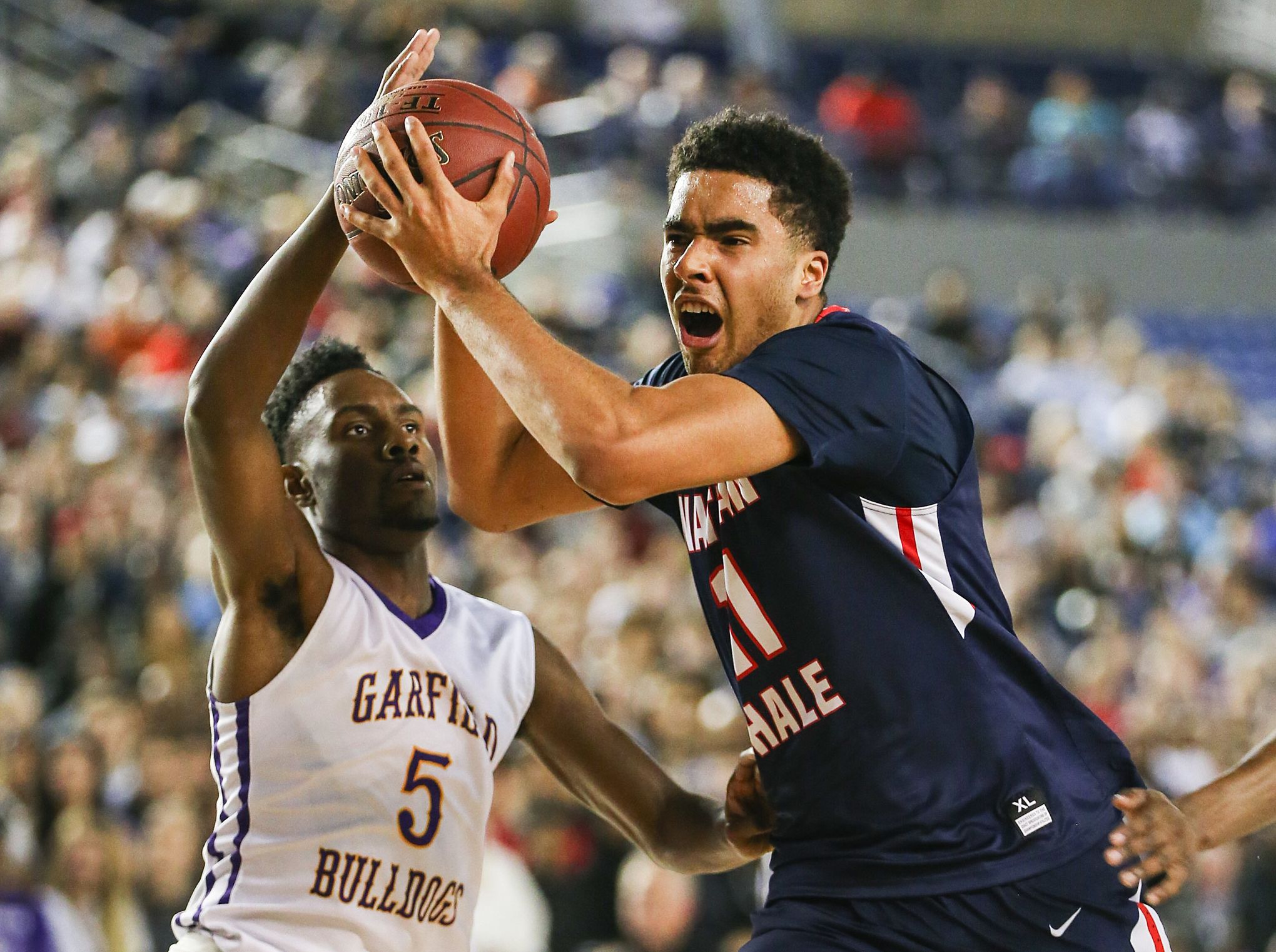 Nathan Hale finishes off perfect season with a flourish, beating ...