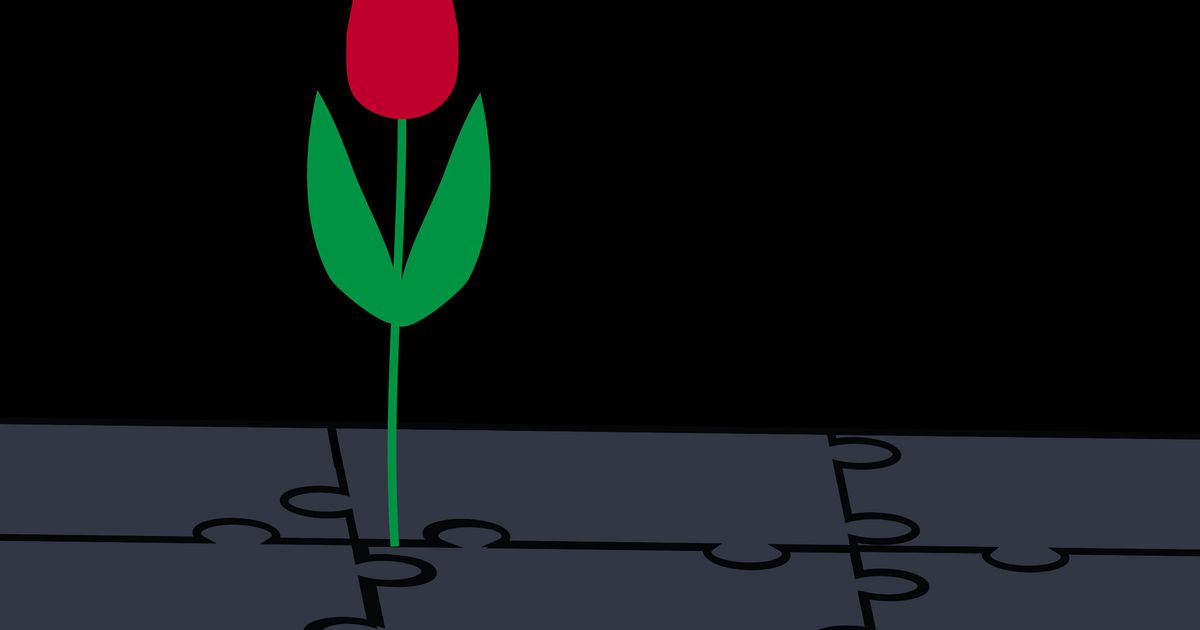 Elizabeth Strout shows ‘Anything Is Possible’ for some small-town folk ...