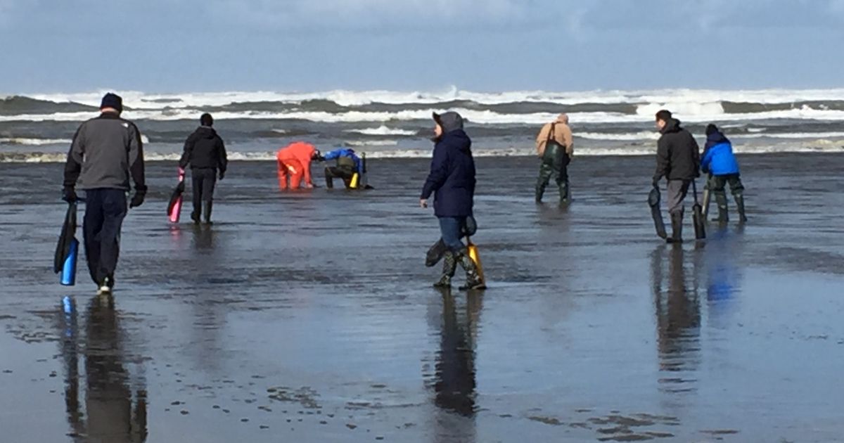Twin Harbors opens for razor clams on Wednesday after being closed ...