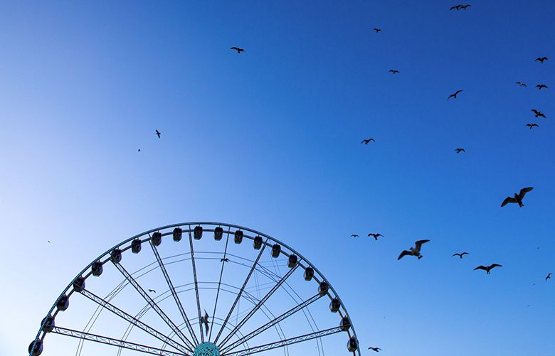 Reader’s Lens | Great Wheel and wheeling birds | The Seattle Times