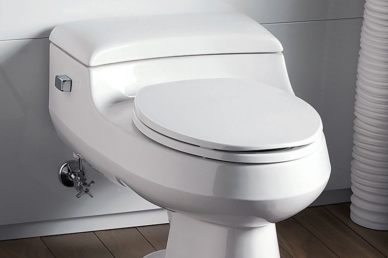 Save water by choosing a new toilet with an efficient flush | The ...