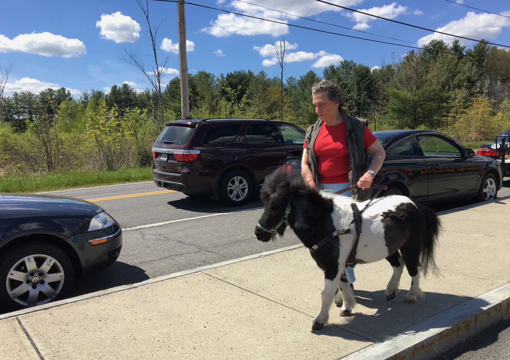 Guide Pony