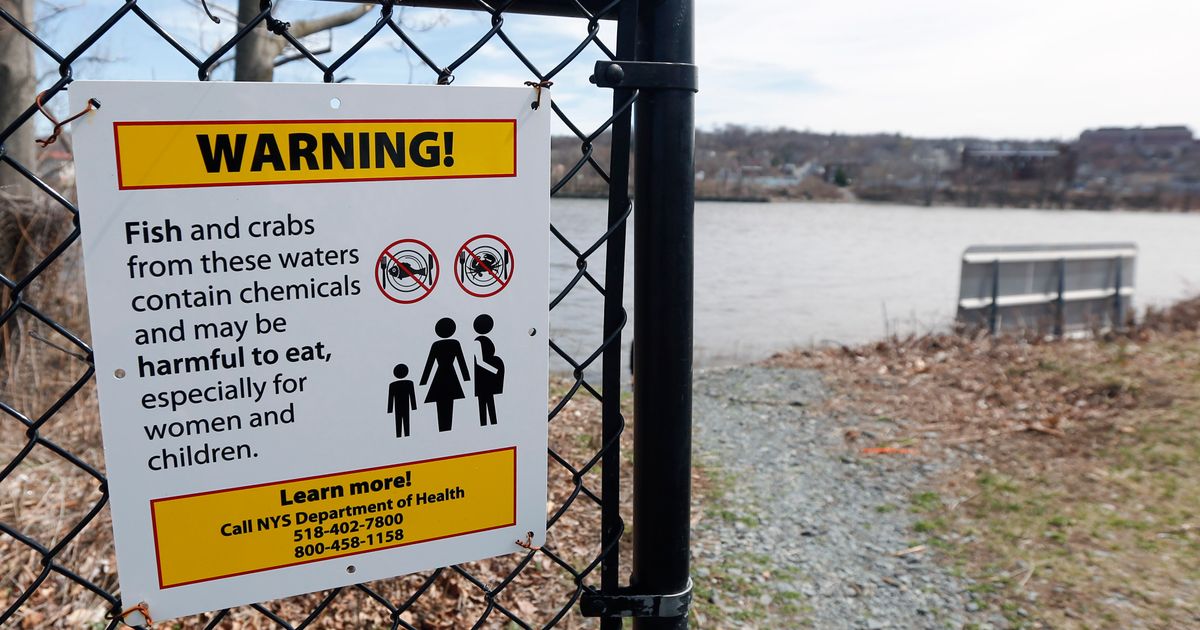 Review: More dredging in Hudson River cleanup not yet needed | The ...