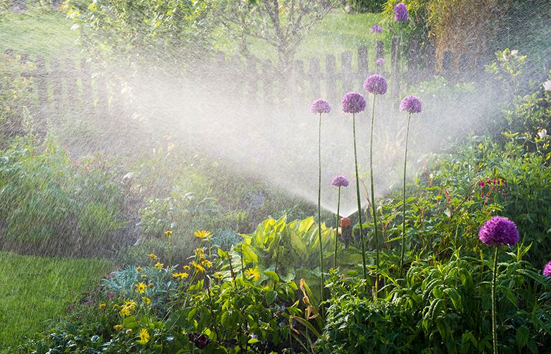 How to make the most of your irrigation system | The Seattle Times