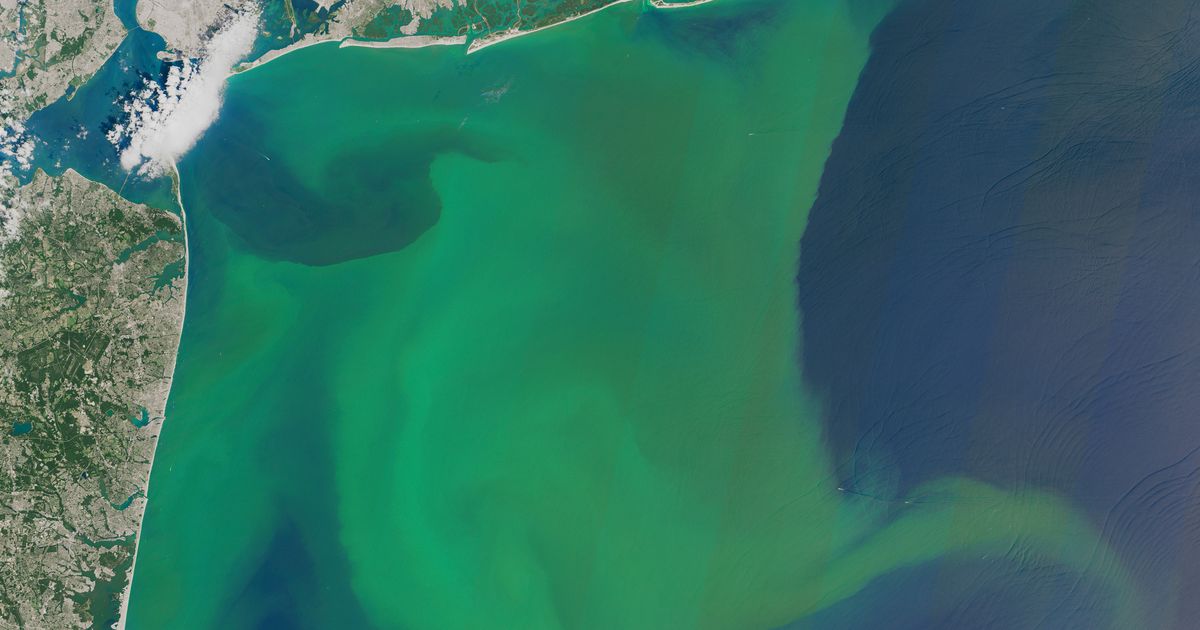 Warming to worsen dead zones, algae blooms choking US waters | The ...