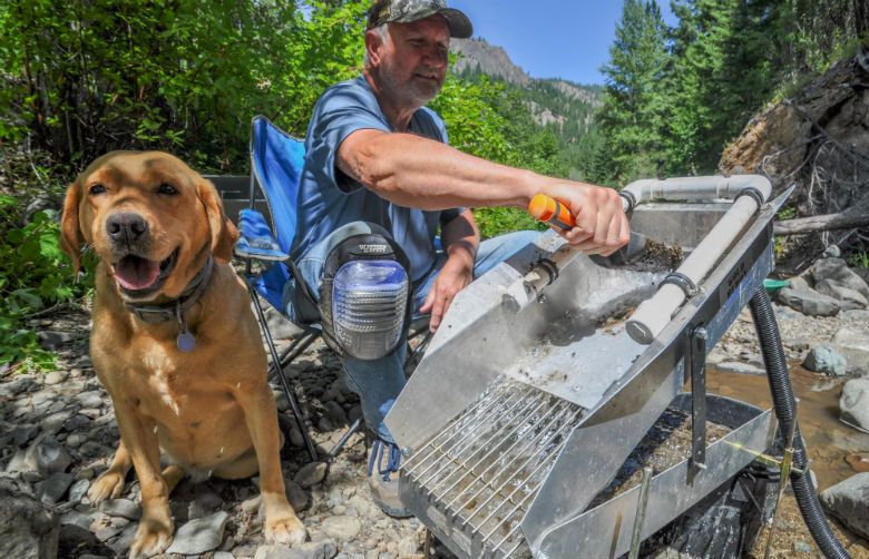 Modern-day prospectors find a little bit of gold and a lot of time ...