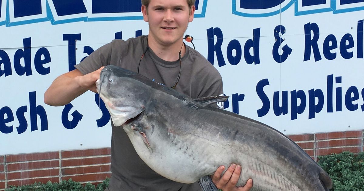 Delaware man lands huge catfish, shatters state record | The Seattle Times