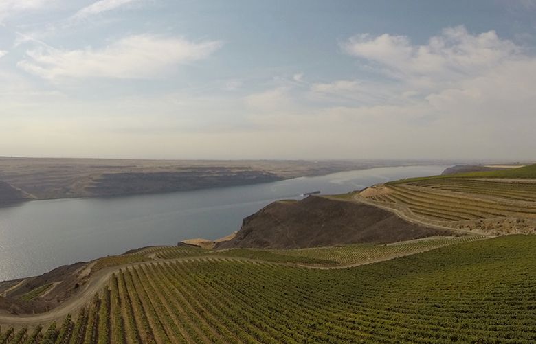 Perfect fall weather in the Columbia Valley produces remarkable grapes ...