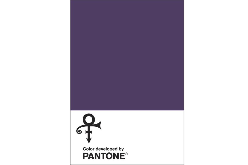 Fuschia Pantone Color