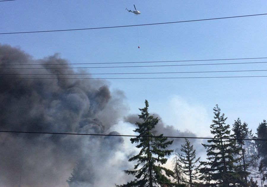 4 homes, 2 barns burn in brush fire near I-5 south of Olympia | The ...