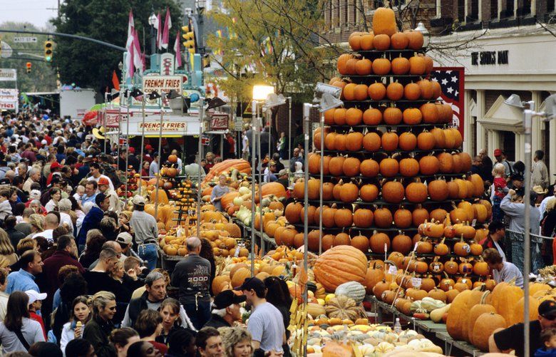 Audacious Autumn Celebrations Squirrel Cookoff Elktober Purple Feet The Seattle Times