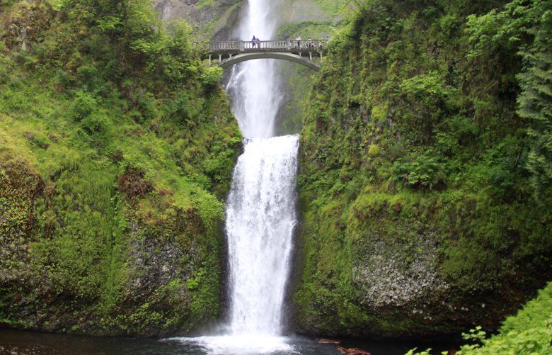 Fire devastates Oregon’s Columbia Gorge – and nature lovers | The ...