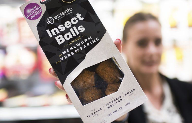 Yuck or yum? Swiss offer insect burgers of mealworm larvae | The ... Yuck or yum? Swiss offer insect burgers of mealworm larvae | The ...
