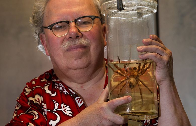 Seattle’s real Spider Man sets us straight: They’re not out to get you ...