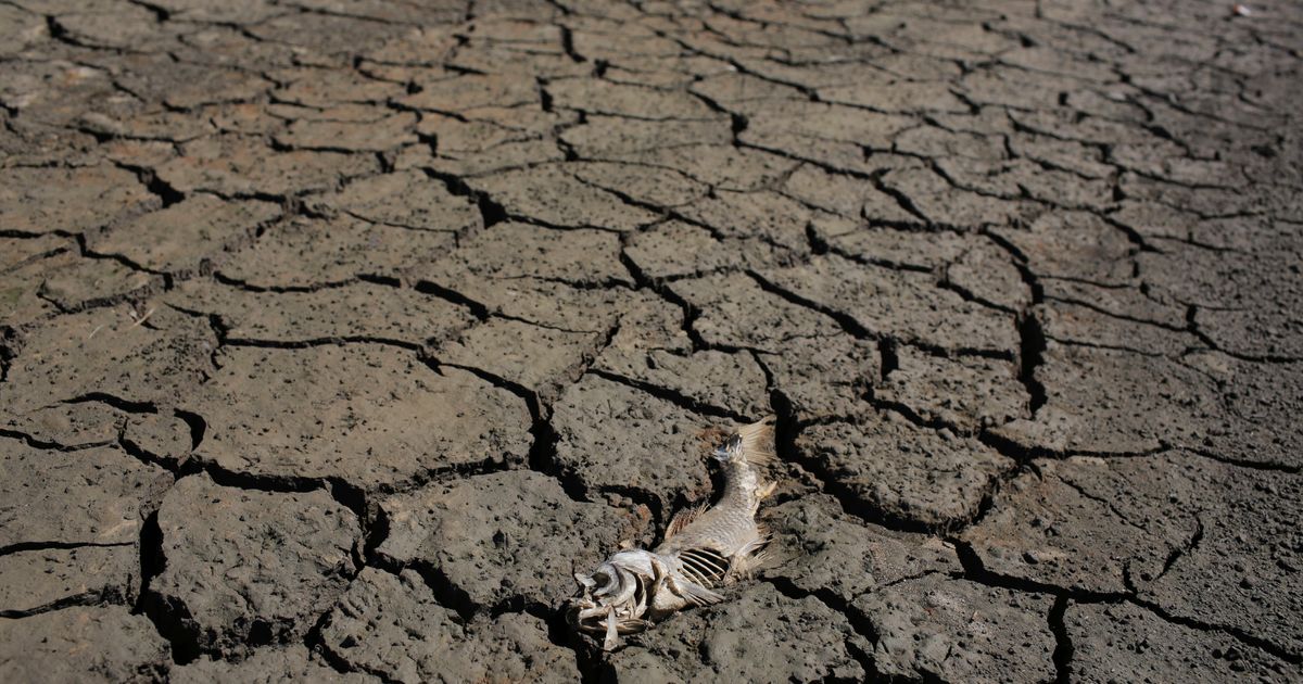 Portugal faces dire drought, the worst in more than 20 years | The ...