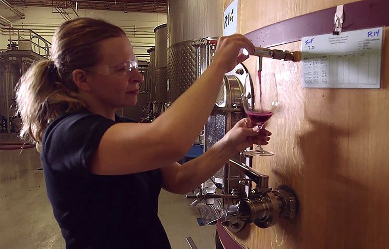 How science enhances the art of winemaking | The Seattle Times
