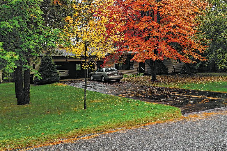 How should you approach fall lawn care? | The Seattle Times