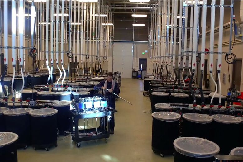 How science enhances the art of winemaking | The Seattle Times