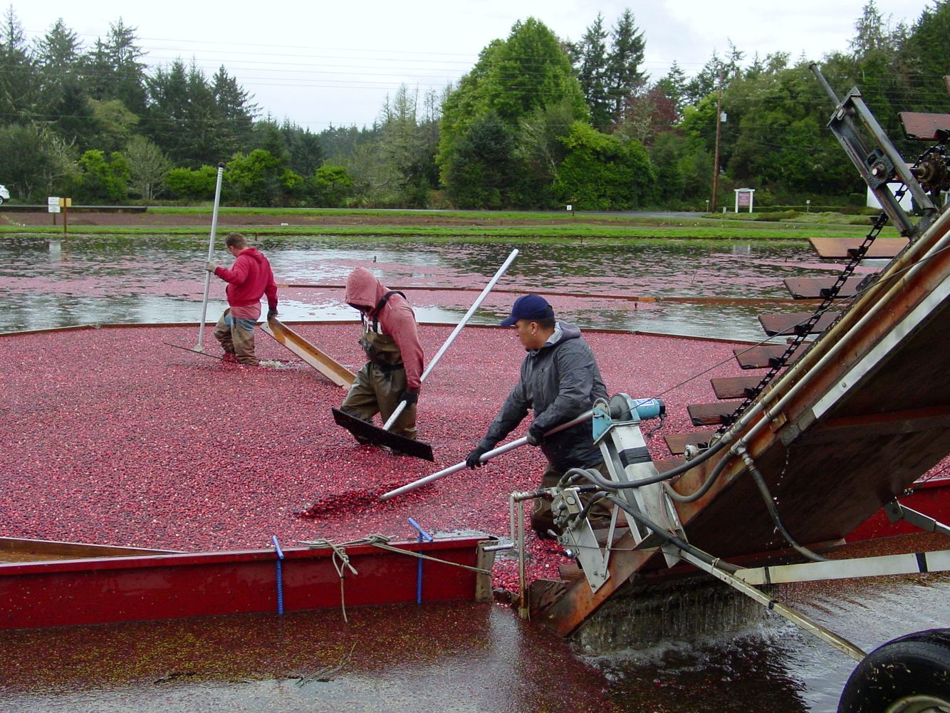 Visit Oysterville on the Long Beach Peninsula for fresh oysters and a ...