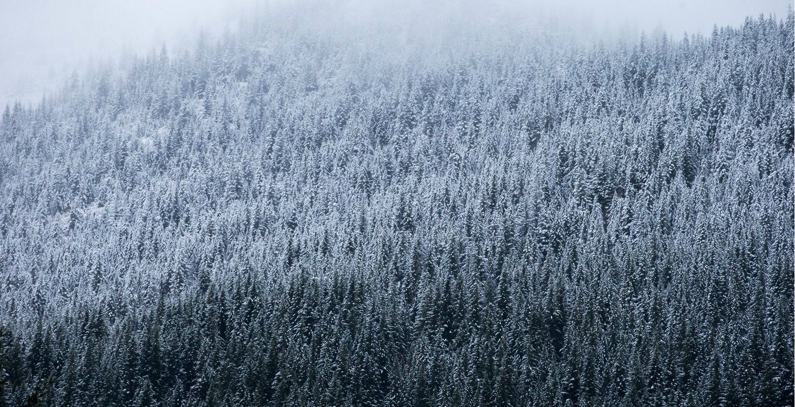 The Cascades are getting ‘a good round’ of snowfall, prompting winter ...