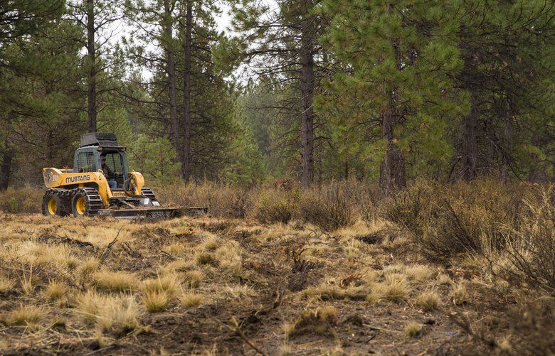 Oregon forest-thinning project saved homes, but highlights obstacles ...
