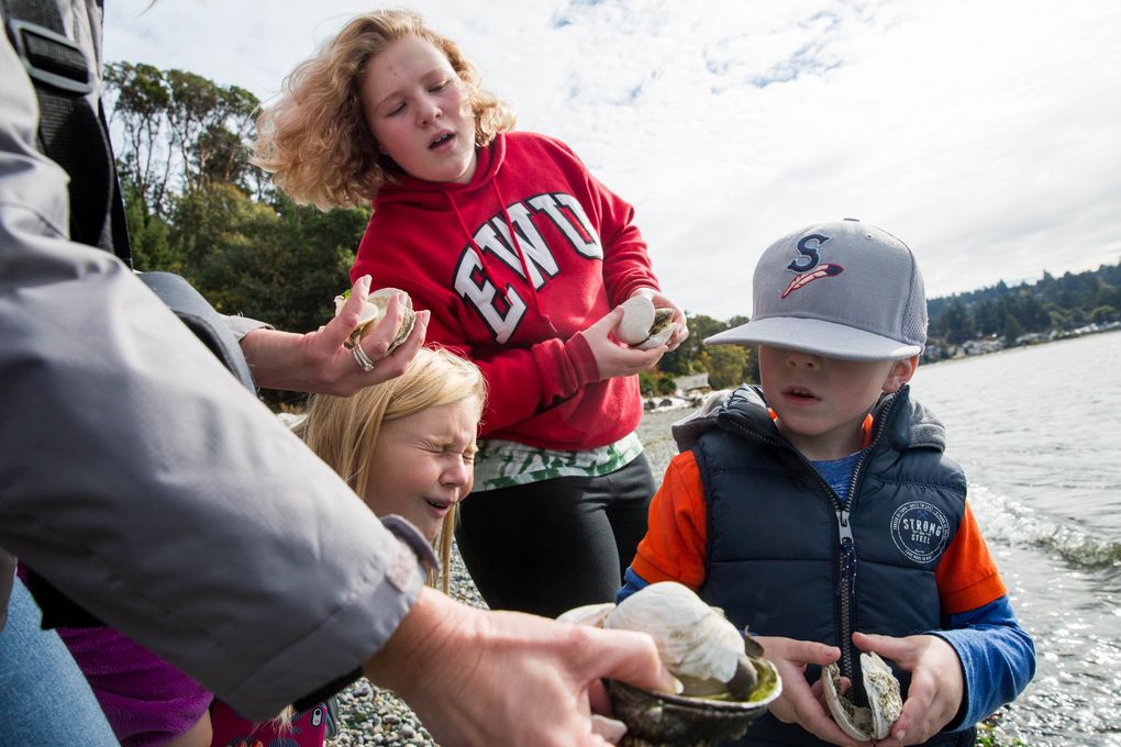 A seaside visit to Seattle’s Lincoln Park | The Seattle Times