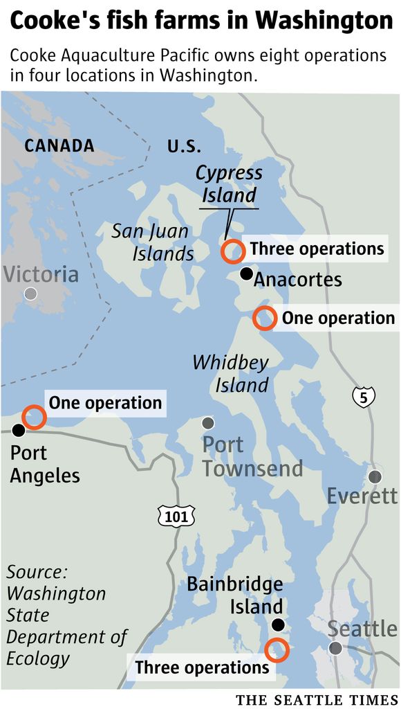 Fish farm has 60 days to fix net pens outside Seattle as 1 million ...