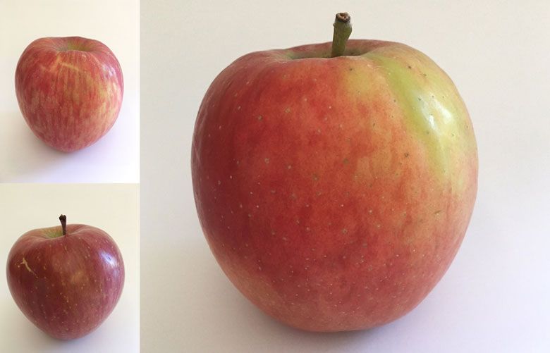 The apple taste test | The Seattle Times