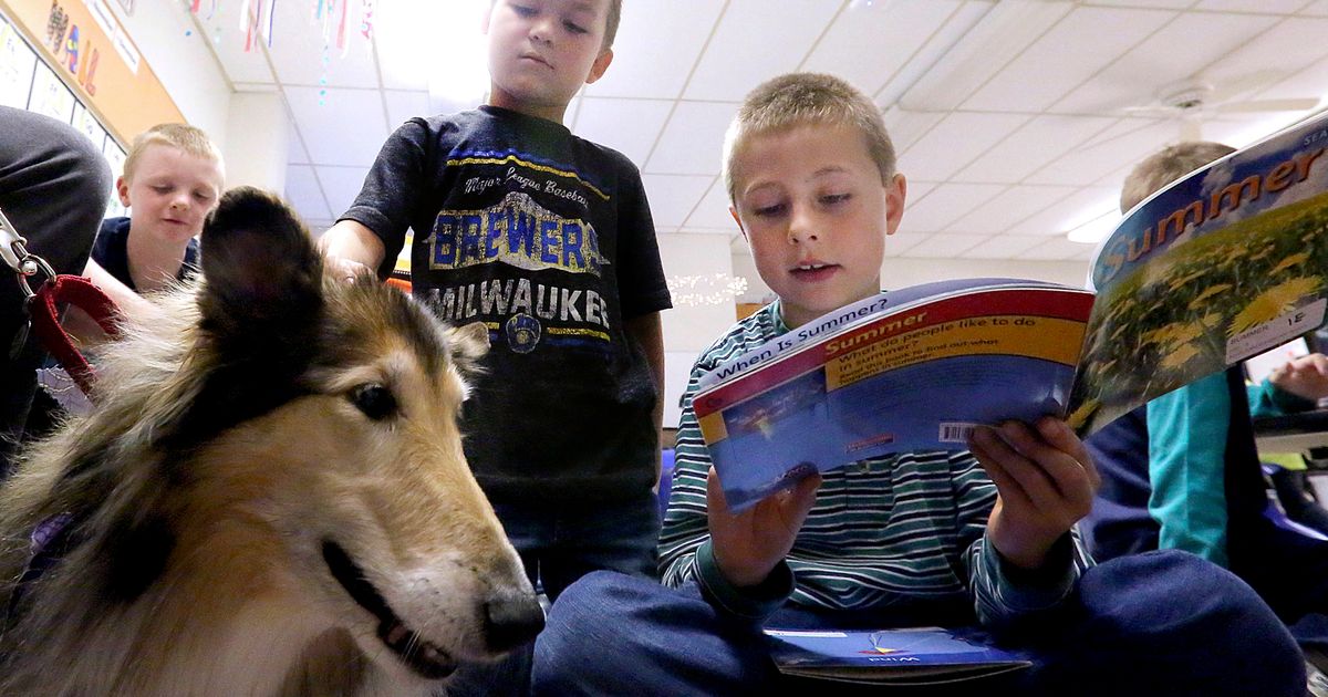 Therapy dogs help Wisconsin students learn to read | The Seattle Times