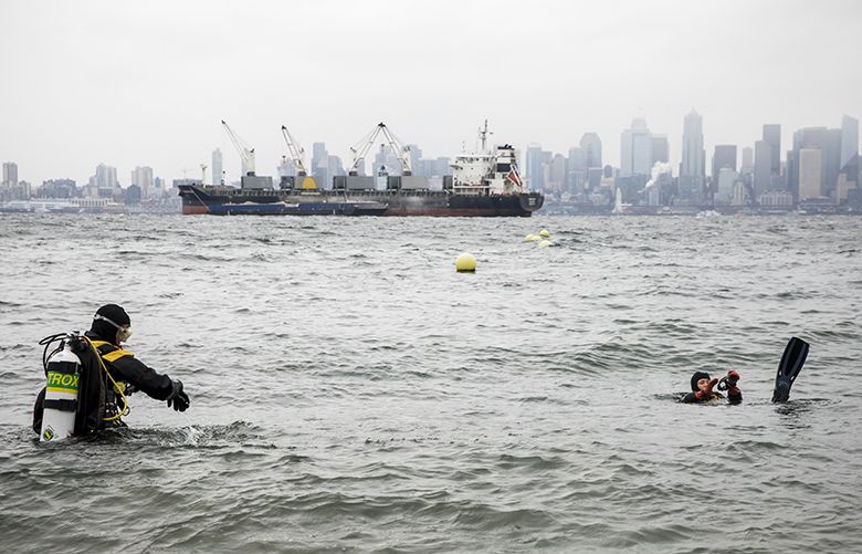 Couple dive right in at chilly West Seattle cove | The Seattle Times