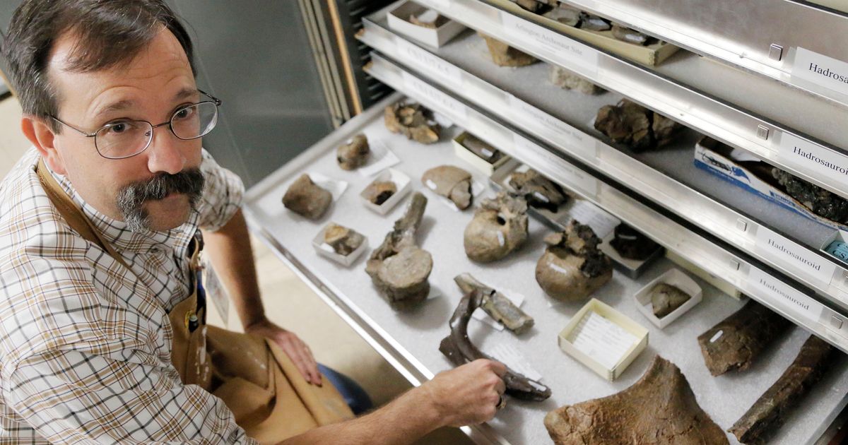 Discoveries still happening at North Texas fossil location | The ...