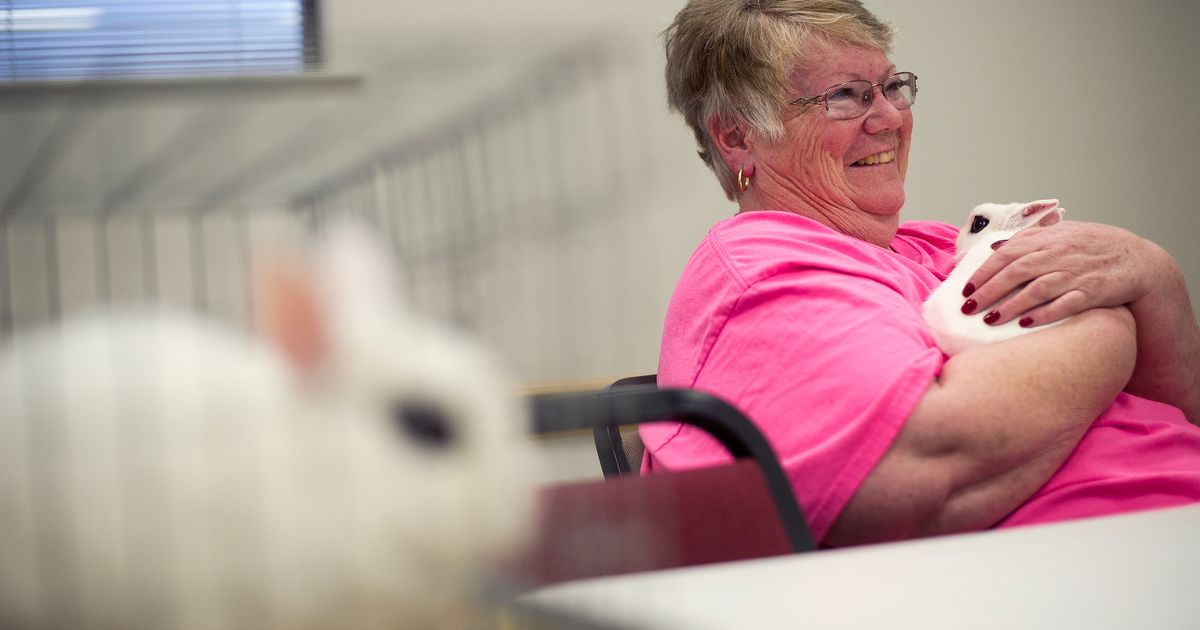 Longtime 4-H leader honored for spirit, dedication | The Seattle Times