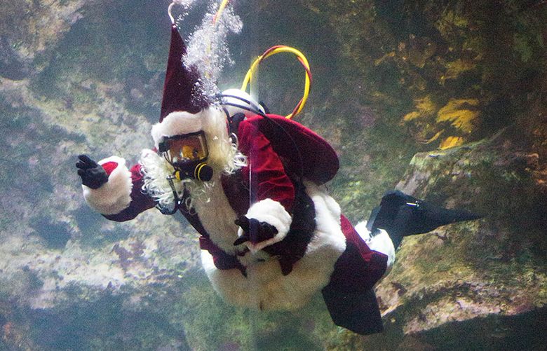 Santa takes a dive at Seattle Aquarium | The Seattle Times