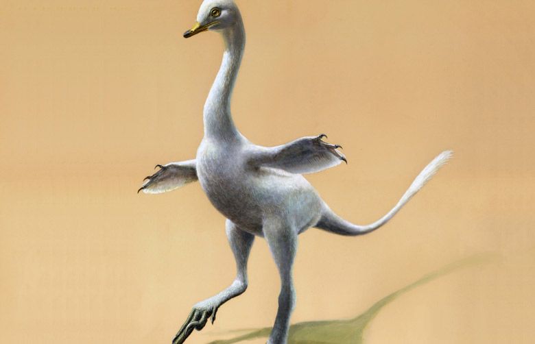 New dinosaur looks like odd mix of duck, croc, ostrich, swan | The ...