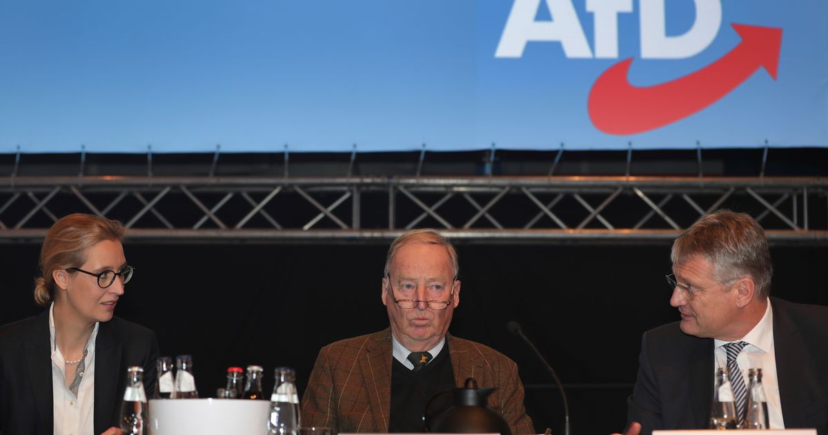 Rising German nationalist party elects leaders amid protests | The ...