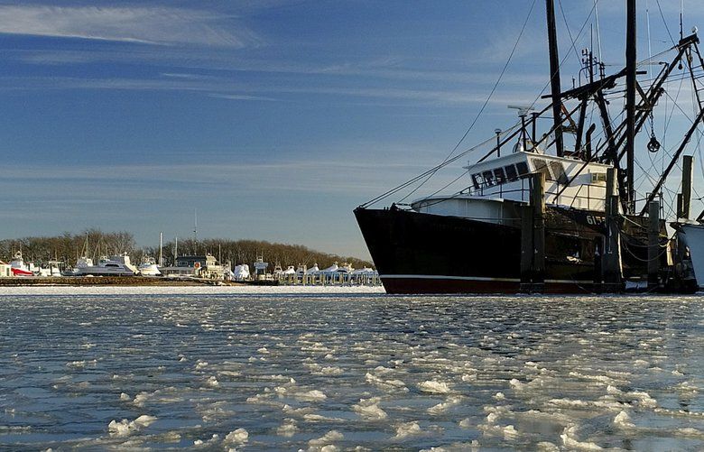 U.S. cold snap was a freak of nature — not global warming — quick ...