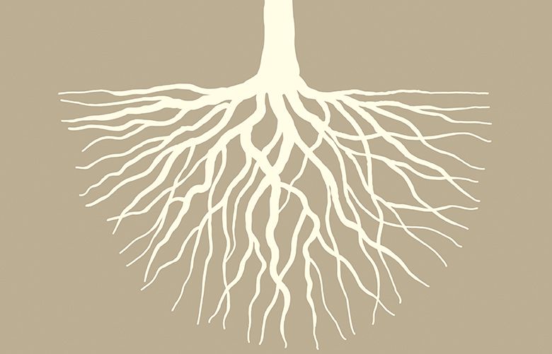 How to reap the benefits of bare-root plants | The Seattle Times