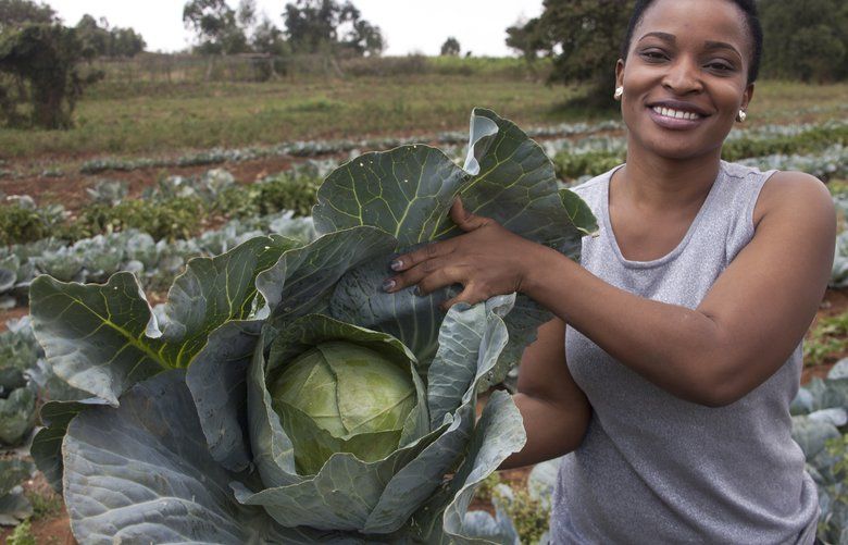 Correction: Kenya-Reality Show-Farming story | The Seattle Times