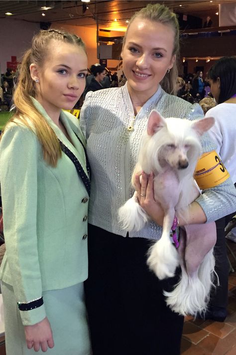 Dog show’s young handlers take a grown-up sport in stride | The Seattle ...