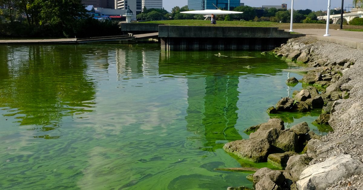 EPA plan seeks cuts in pollution that causes Lake Erie algae | The ...